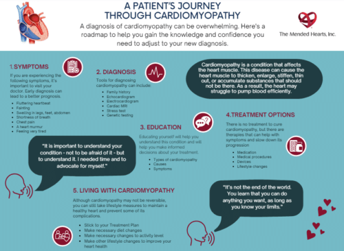 Cardiomyopathy | Mended Hearts Europe